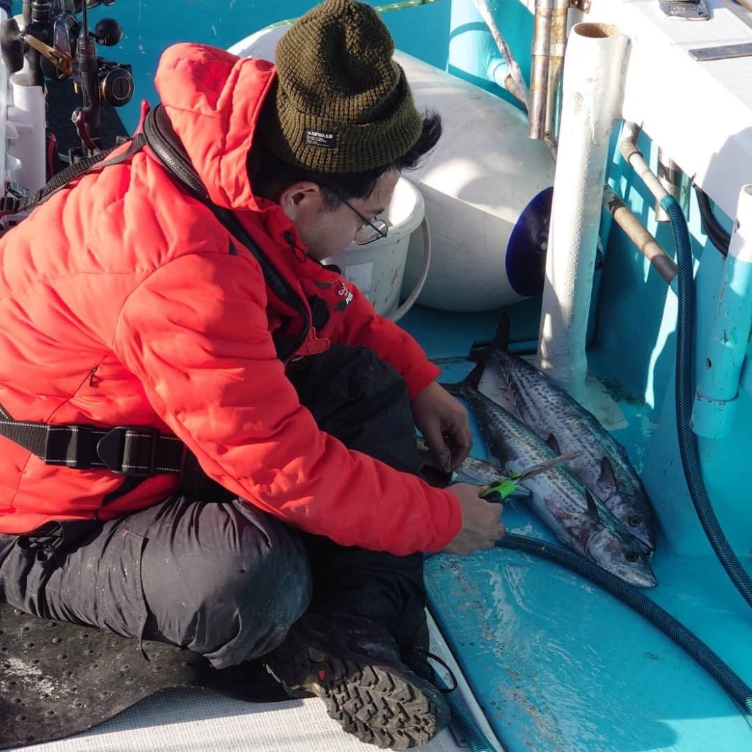 ヒラマサの釣果｜2024年12月8日｜わかしお丸POLARIS（福岡県/鐘崎漁港）｜キャスティング釣り船予約