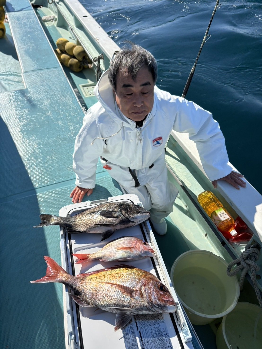 マダイの釣果｜2026年1月24日｜伝五郎丸（神奈川県/松輪江奈漁港）｜キャスティング釣り船予約